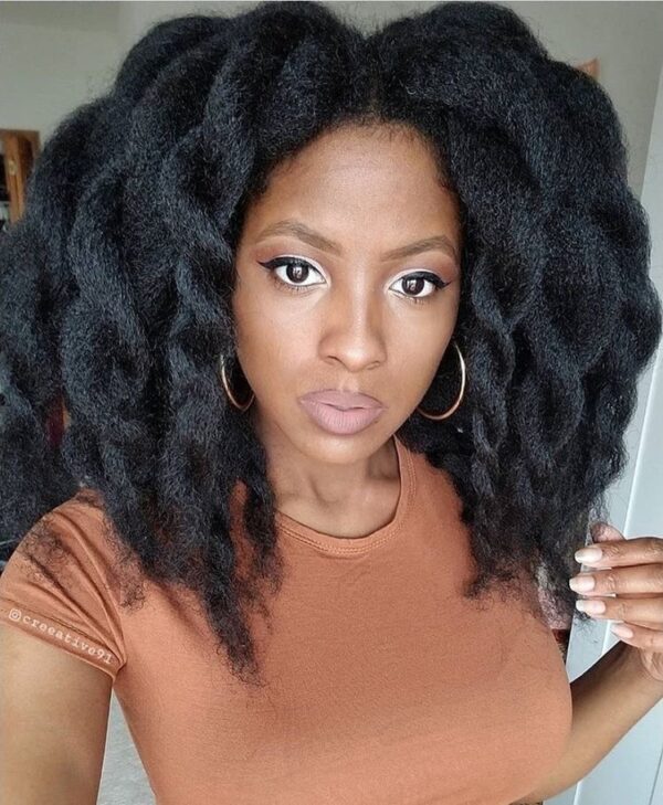 15 BEST PROTECTIVE HAIRSTYLES FOR NATURAL HAIR 2025 Atsavvy